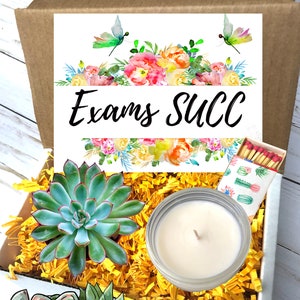 Exams Succ, Send a Gift, College Student, College Student Gift ...