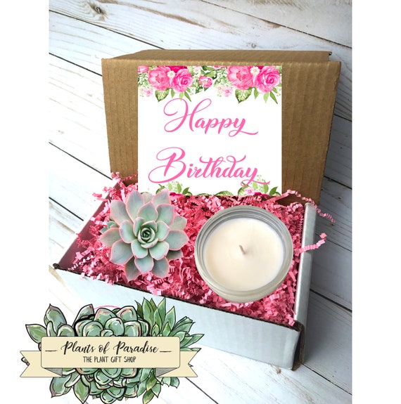 40th Birthday Gift Box for Her 40th Birthday Succulent Gift | Etsy