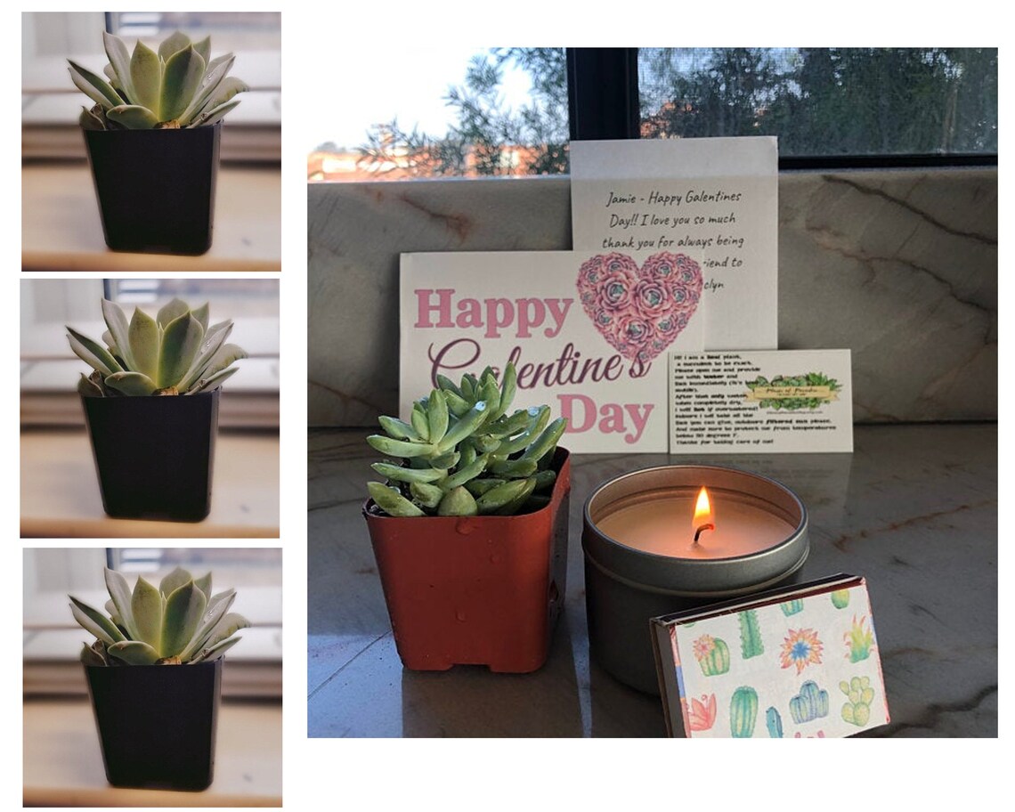 New Employee Gift New Hire Gift Set Welcome to our growing | Etsy