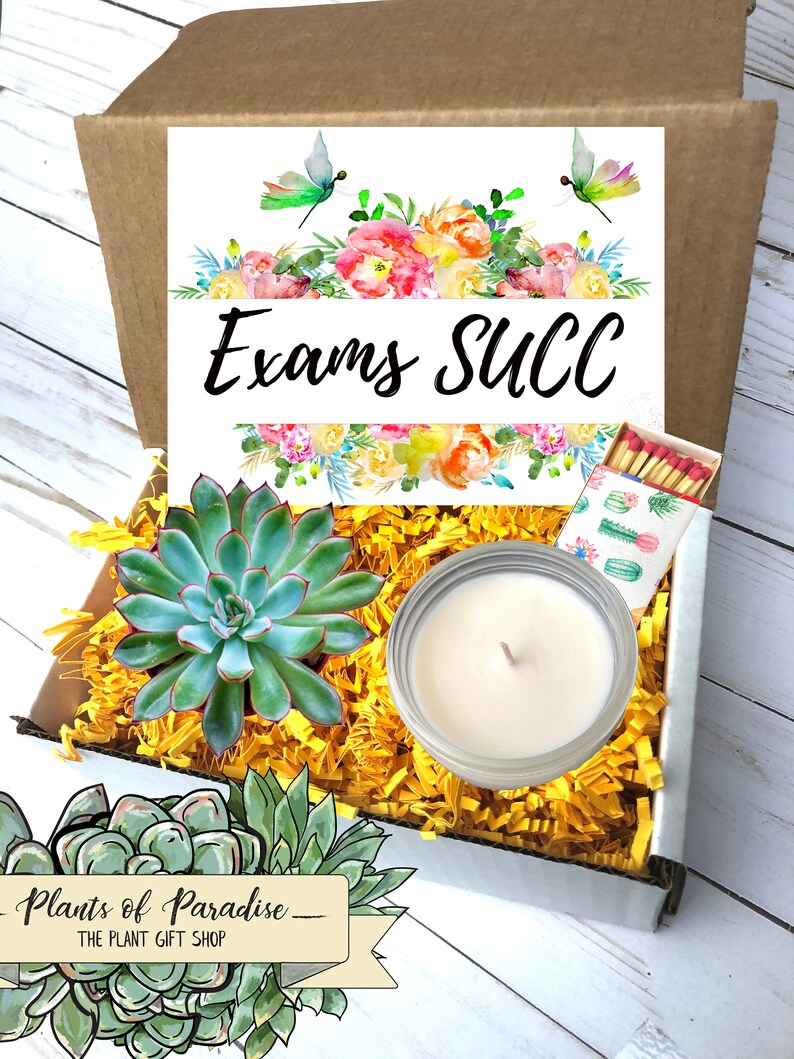 Exams Succ Send a Gift College Student College Student - Etsy