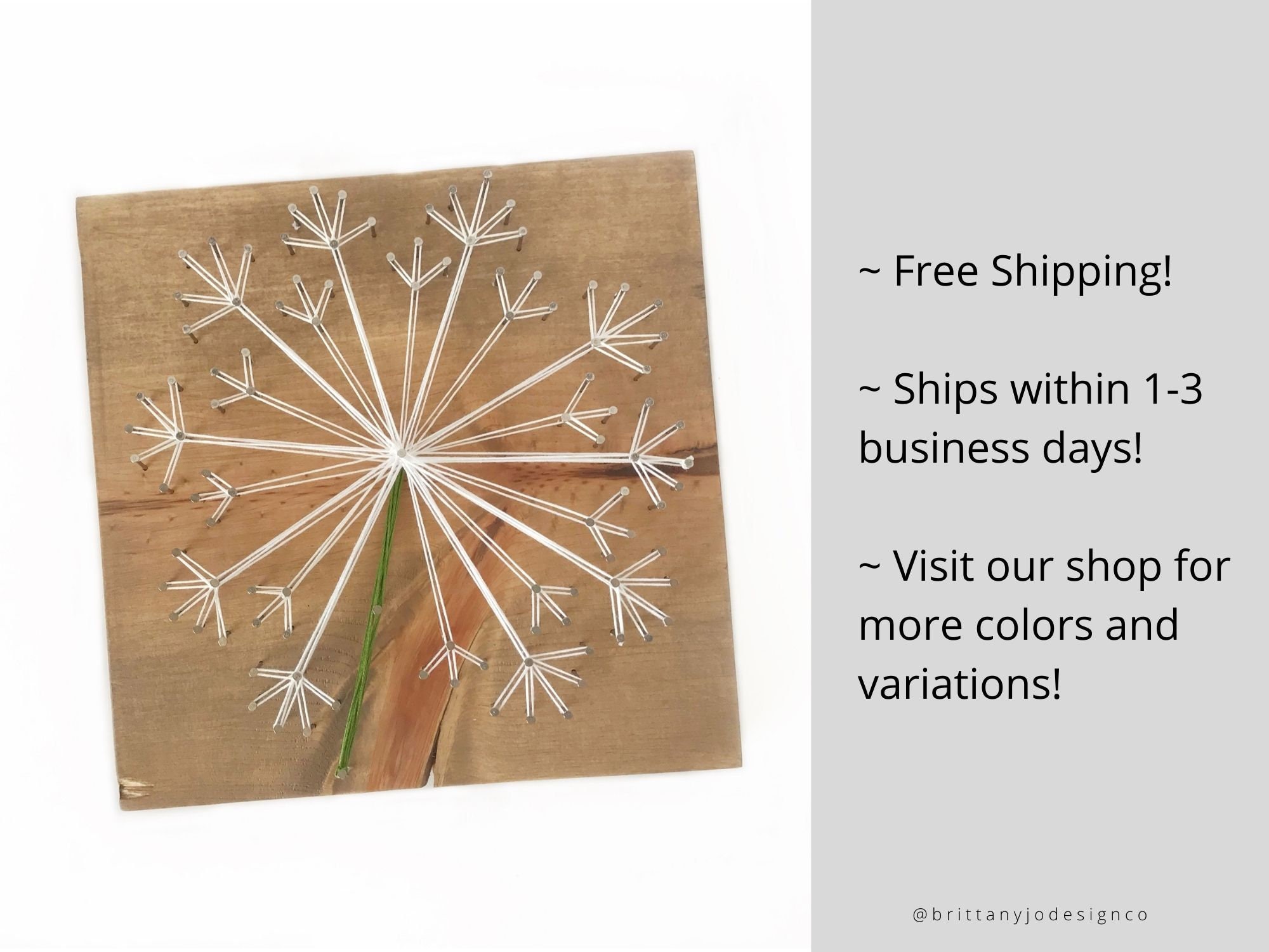Stained Dandelion String Art Perfect for Everyday Home Decor - Etsy