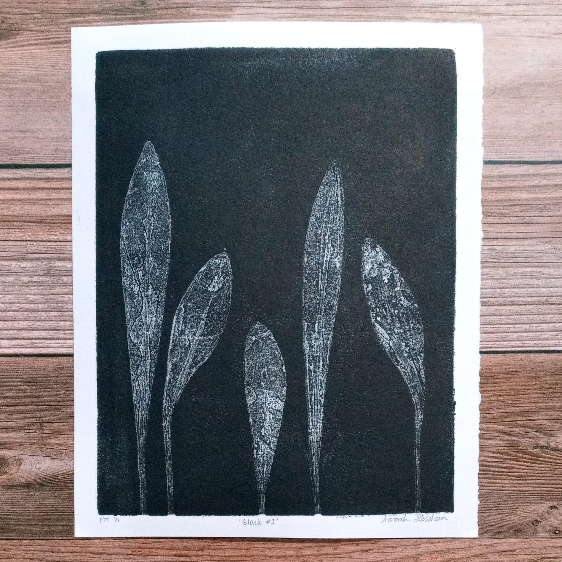 Black Natural Botanical Monoprint - Many Designs | 8x10 Original ...