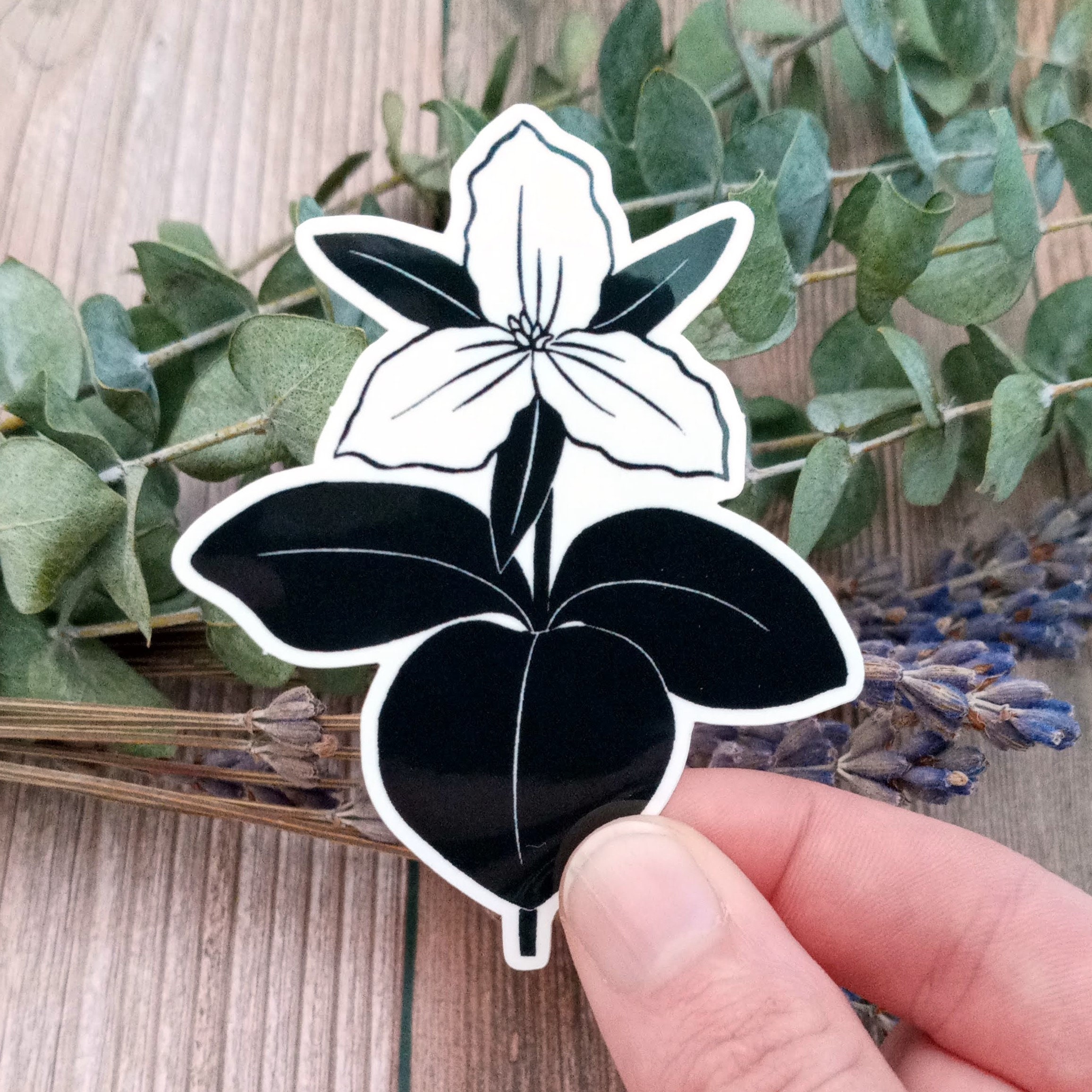 Trillium Vinyl Sticker Based on Original Linocut Print | 3 Inch Glossy ...