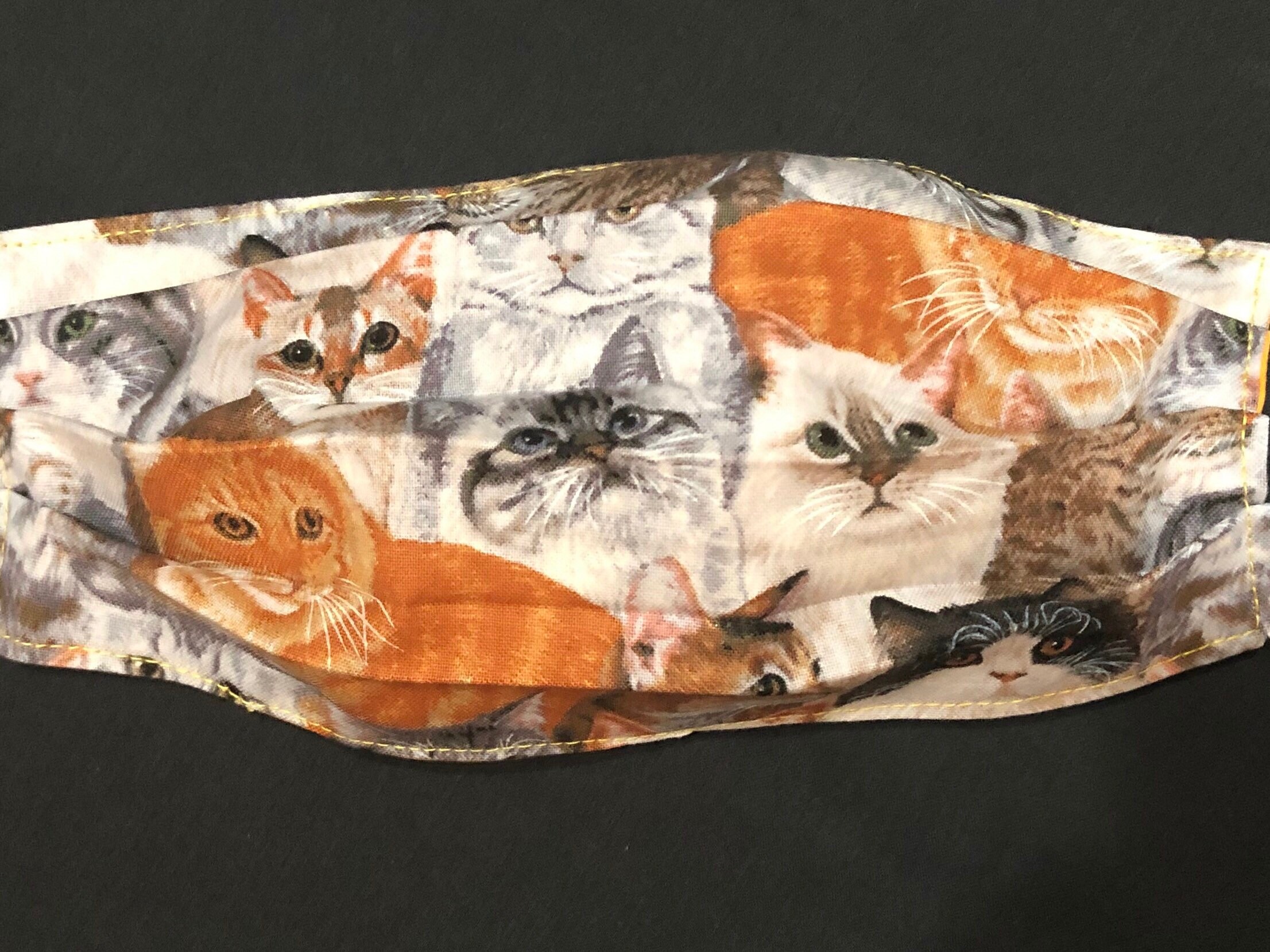 Kittens Face Mask, A Group OF Kittens Together Gace Mask, Washable ...