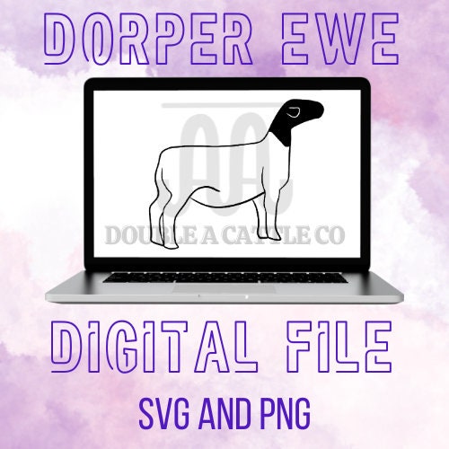 Dorper Ewe, Show Lamb, Hair Sheep, SVG, PNG, Instant Download - Etsy