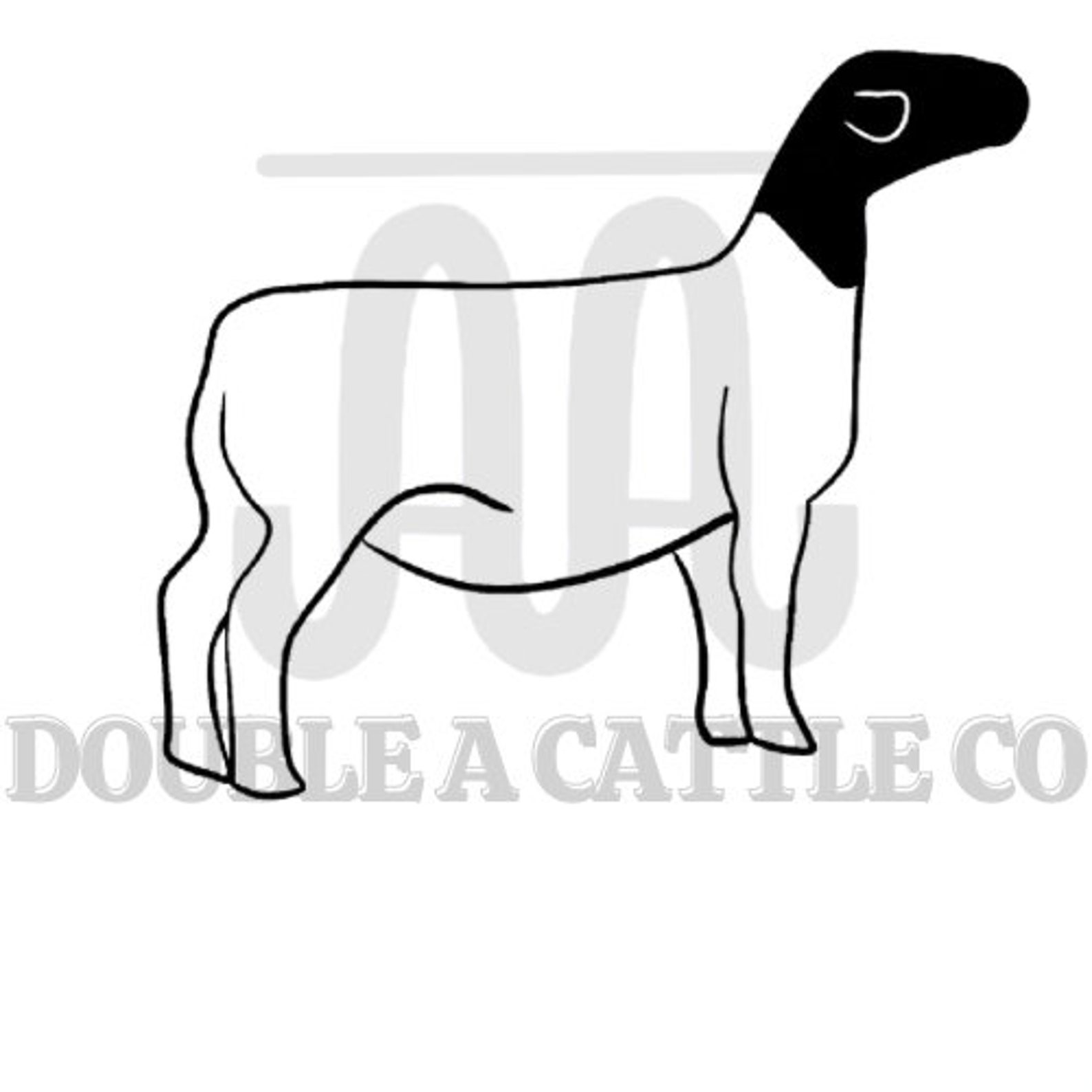 Dorper Ewe, Show Lamb, Hair Sheep, SVG, PNG, Instant Download - Etsy