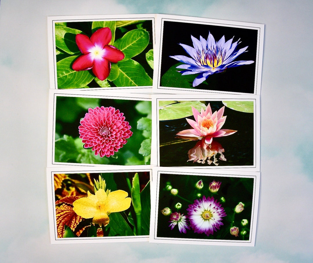 Floral Note Cards: Flower Photography, Set of 6 - 60-0300 - Etsy
