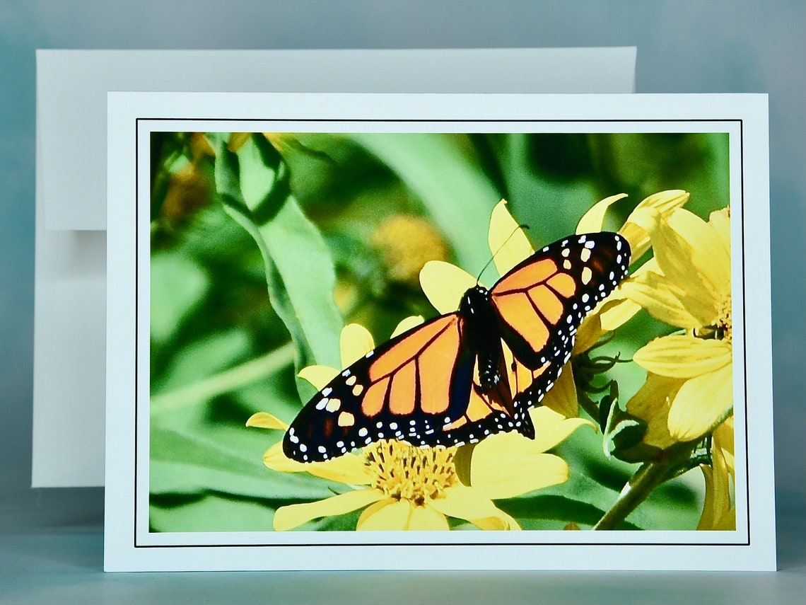Butterfly Note Cards Monarch Butterflies Blank Note Cards 60-0290 - Etsy