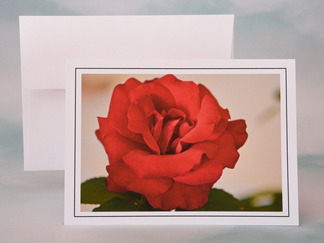 Red Rose Note Card - Blank Note Card 71-1340N - Etsy