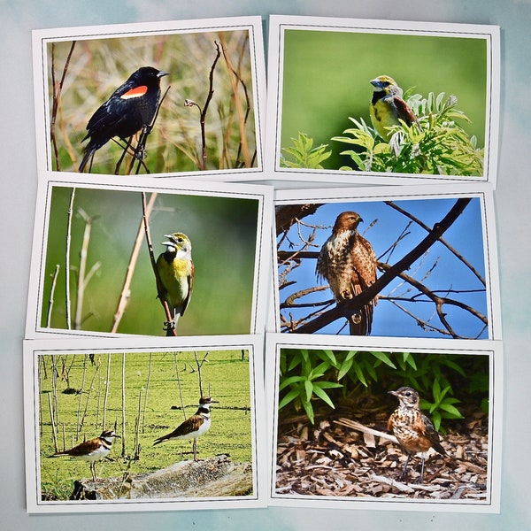 Bird Photo Cards - Etsy