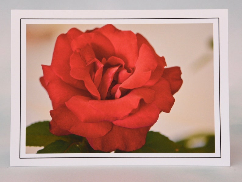 Red Rose Note Card - Blank Note Card 71-1340N - Etsy