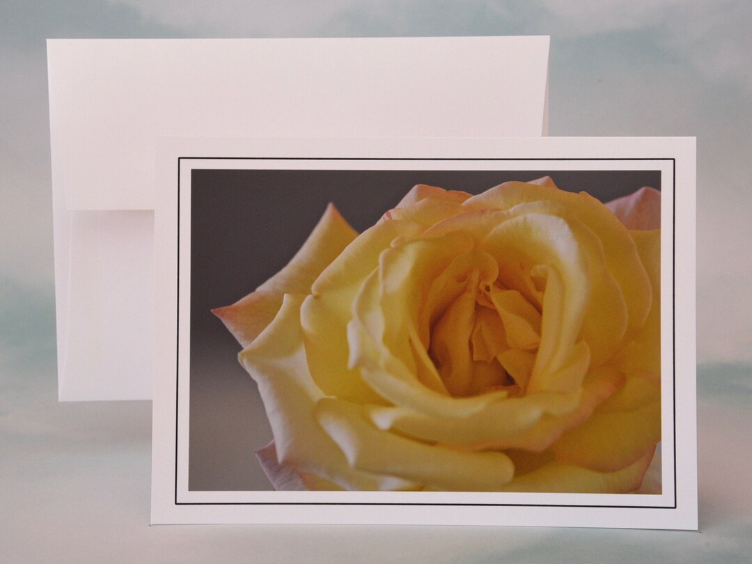 Yellow Rose Photo Note Card - Blank Note Card - Greeting Card 71-1342N ...