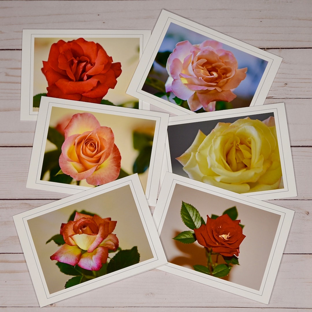 Rose Note Card Collection - Blank Note Cards 60-0050 - Etsy