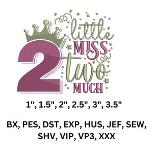Birthday Embroidery, Second Birthday, 2nd Birthday Design, Girls 2nd ...