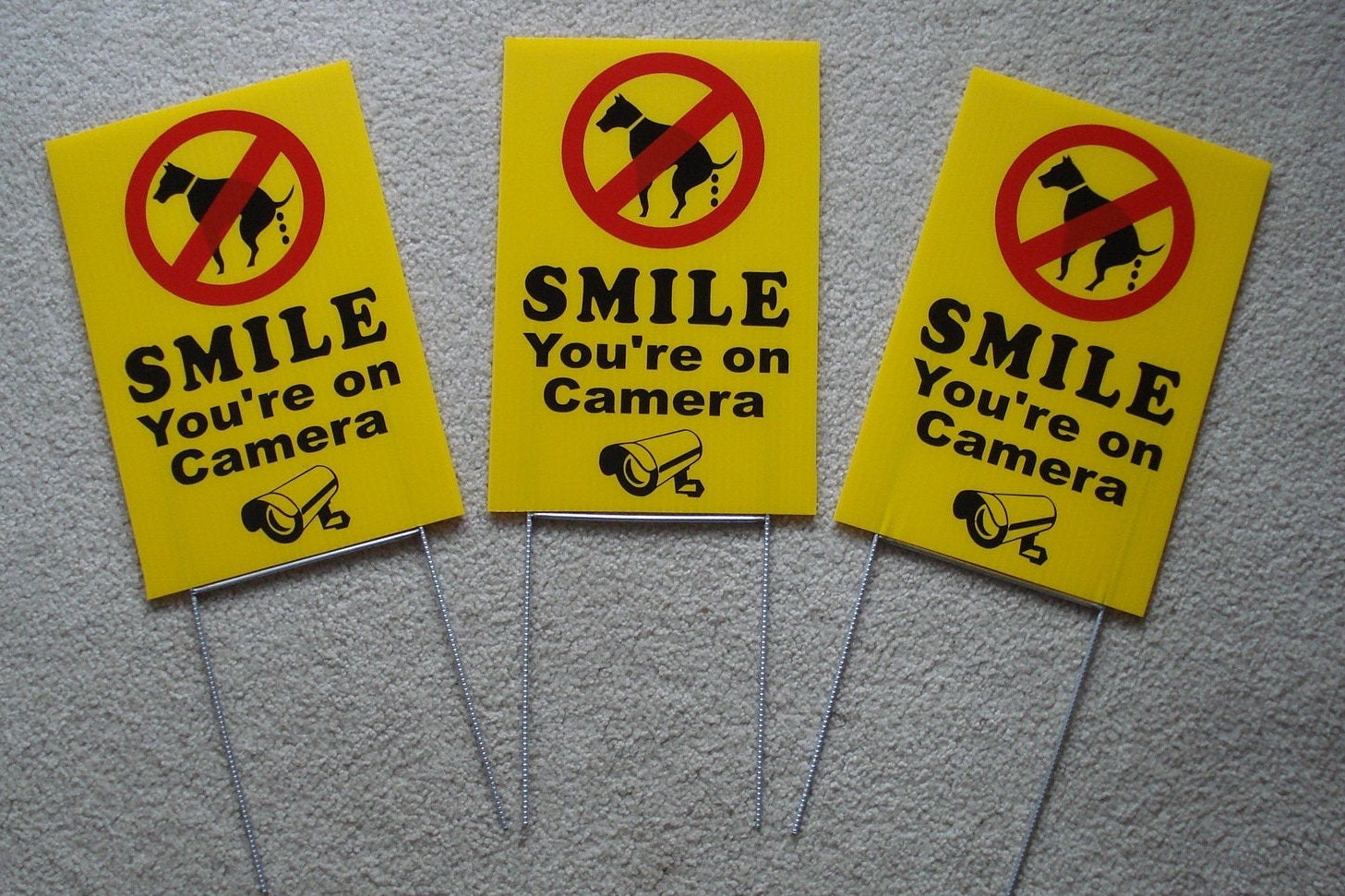 3 No Dog Poop - Smile You're on Camera 8"x12" Plastic Coroplast SIGNS W ...