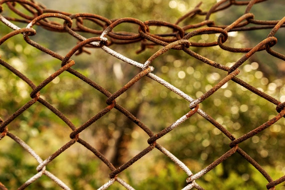 Rustic Metal Fence Abstract Art Rustic Photo Photo Prints - Etsy