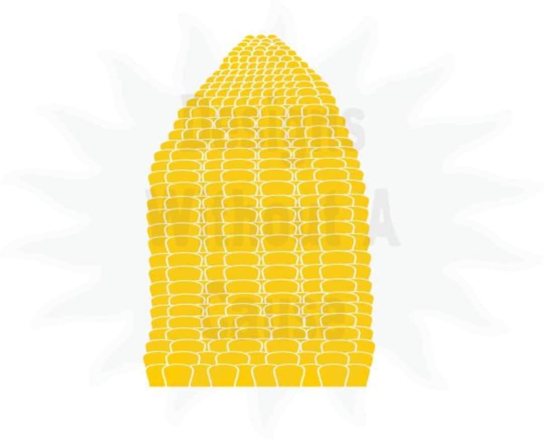 Corn SVG PNG - Etsy