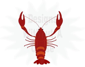 Crawfish Words Block PNG & SVG - Etsy