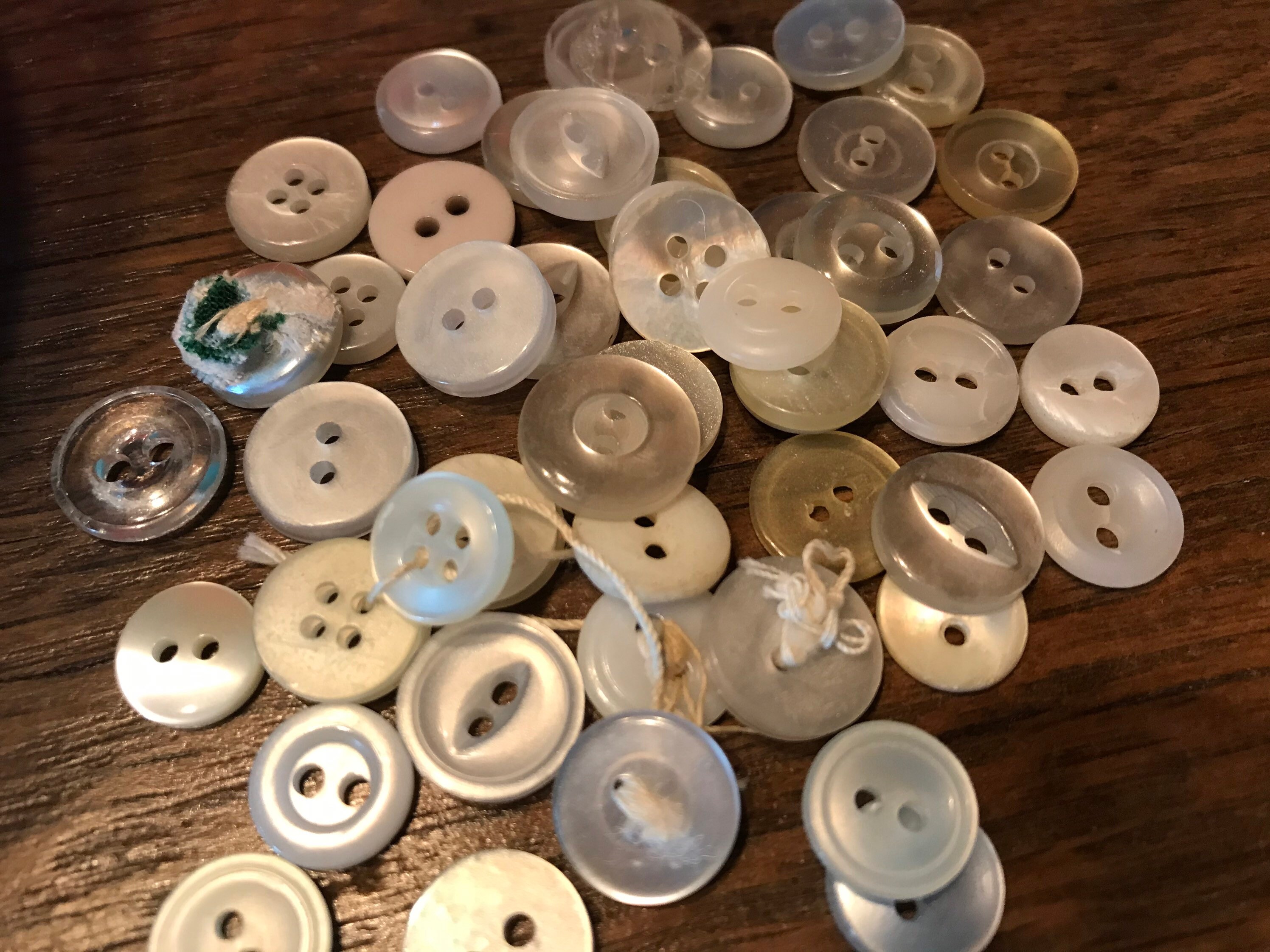 Button Button White Assorted Bulk 50ct Clear Decorative - Etsy