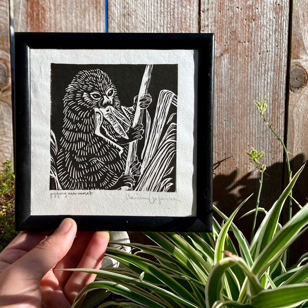 Pygmy Marmoset Linocut Print - Etsy