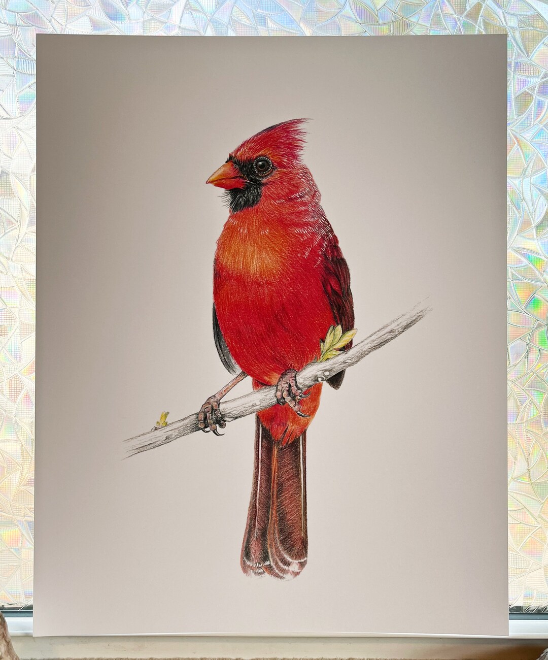 Cardinal Print - Etsy