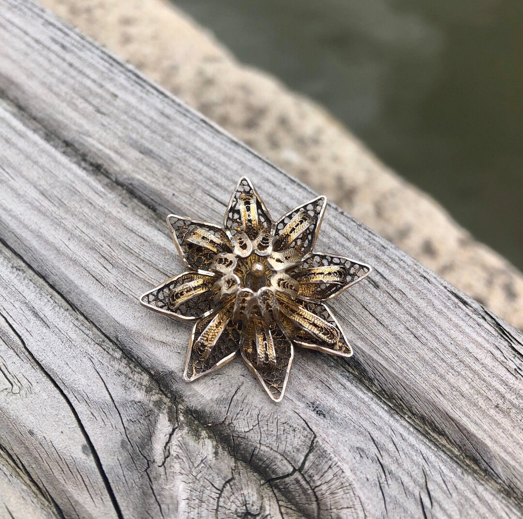 Flower Brooch Edelweiss in Filigreed Silver 800 German or Swiss - Etsy