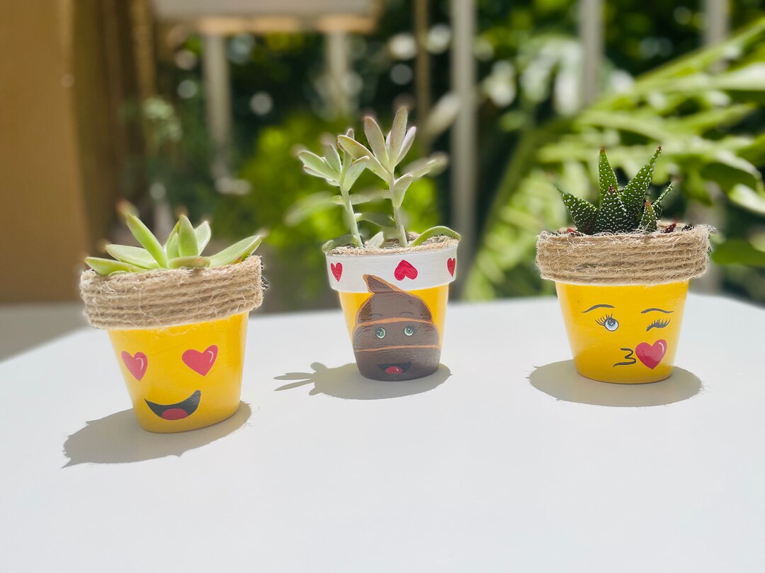 Emoji Succulent Plant Pots: Hand-painted Terracotta, Set of 3 - Etsy