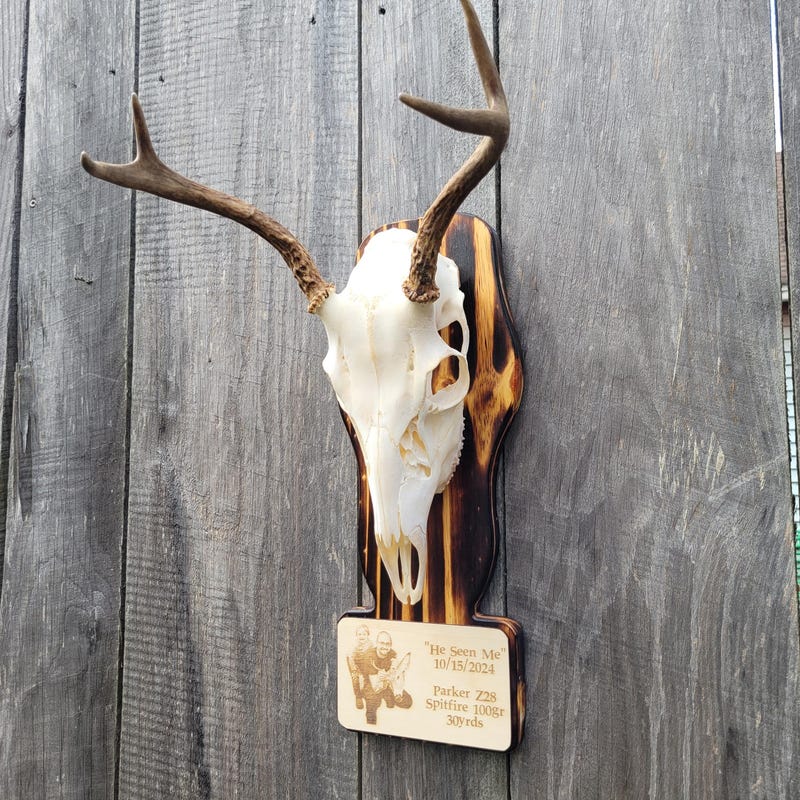 European Mount - Etsy