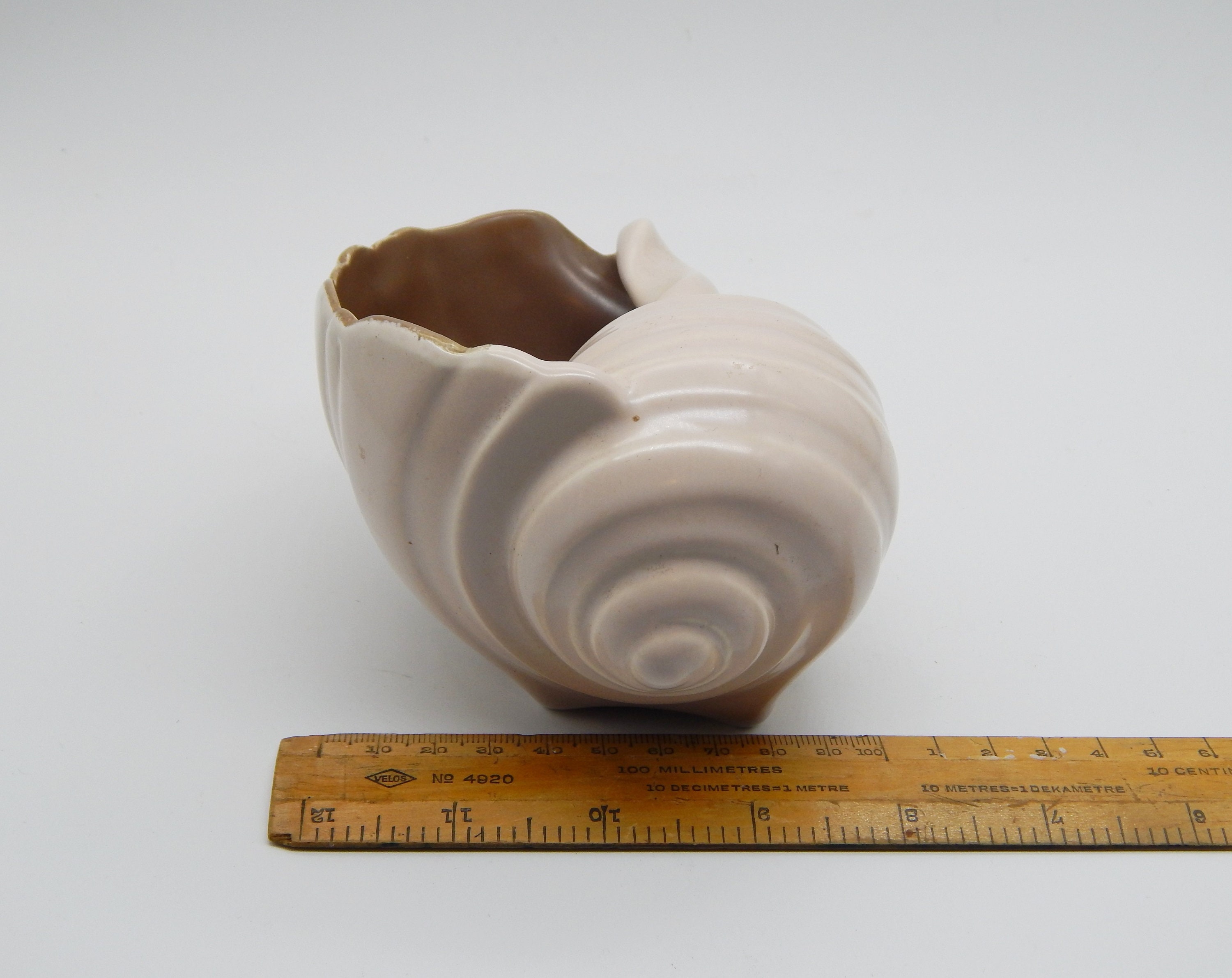 Vintage Poole Twintone Winkle Shell Vase C54 Sepia and - Etsy UK