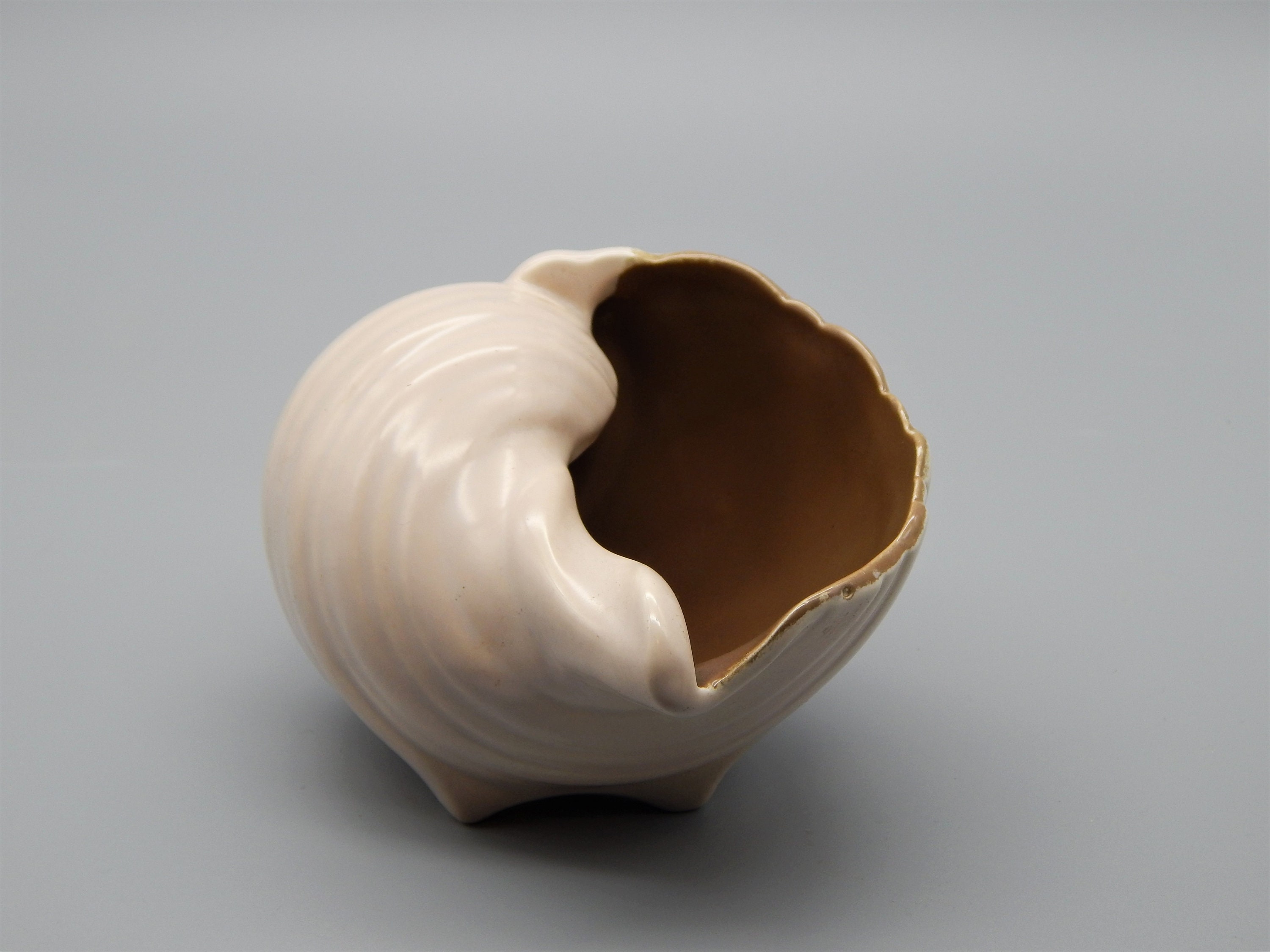 Vintage Poole Twintone Winkle Shell Vase C54 Sepia and - Etsy UK