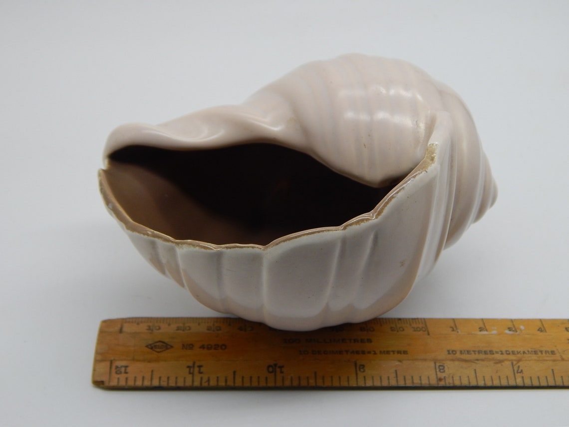 Vintage Poole Twintone Winkle Shell Vase C54 Sepia and - Etsy UK