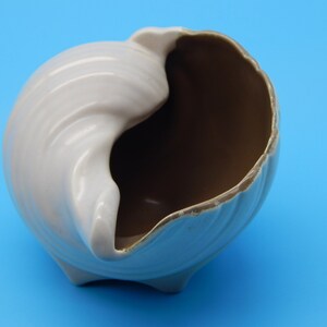 Vintage Poole Twintone Winkle Shell Vase C54 Sepia and Mushroom. Circa ...