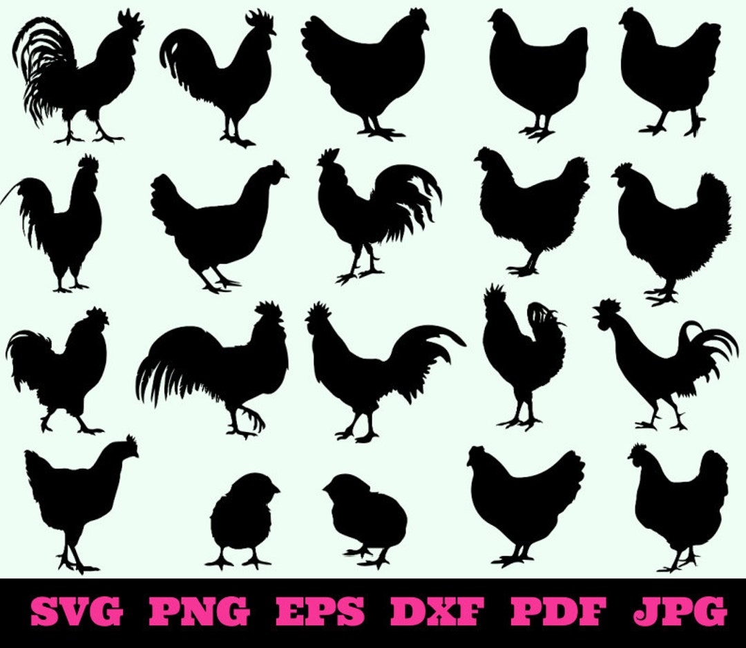 Chicken SVG - Chicken Silhouette - SVG Cut Files - Chicken Bundle SVG ...