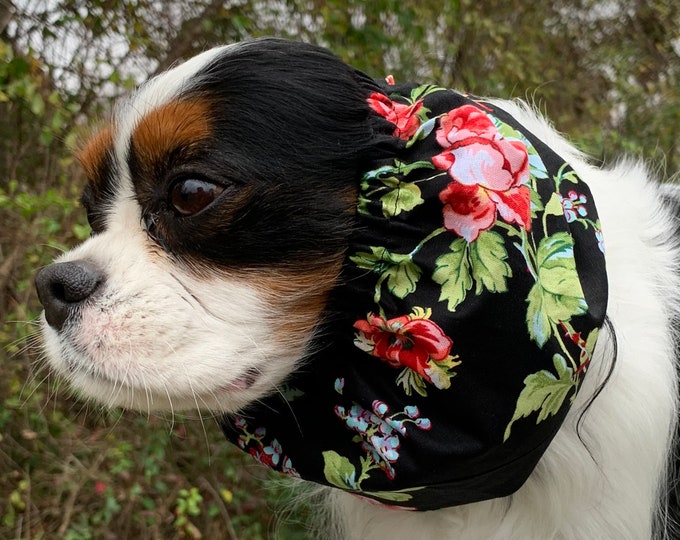 Bear Dog Snood - Etsy