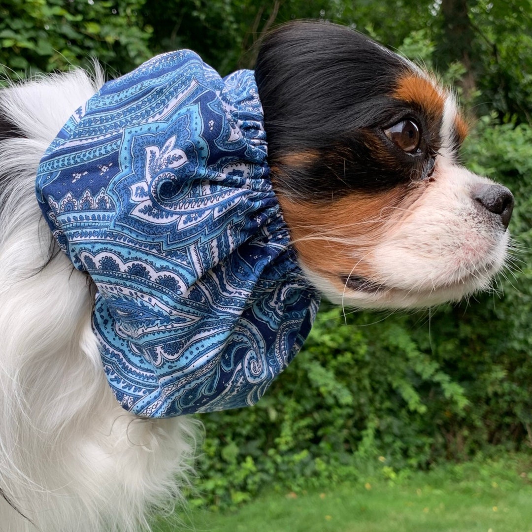 Cavalier Snoods Blue Paisley - Etsy