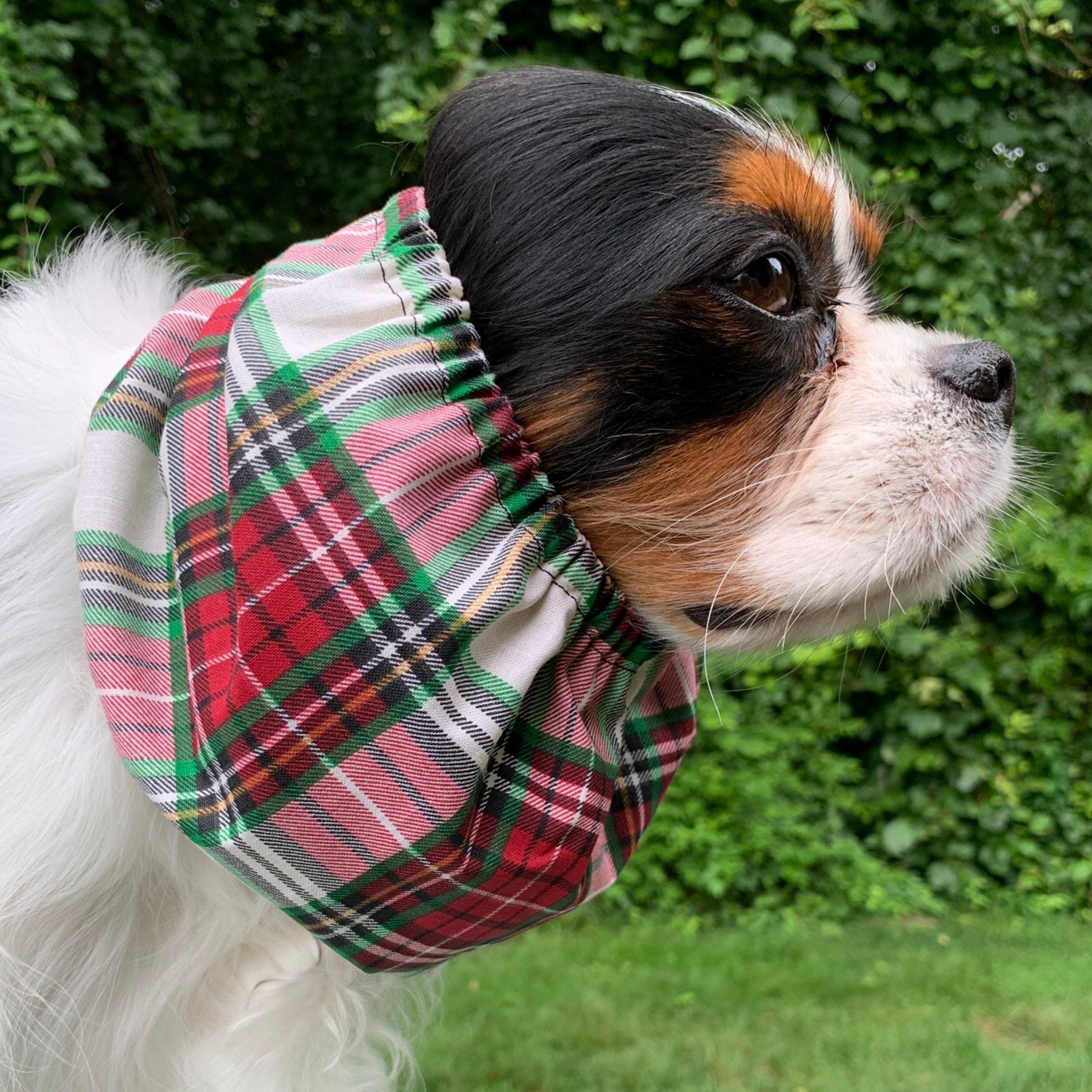 Cavalier Snoods Red White and Green Plaid - Etsy