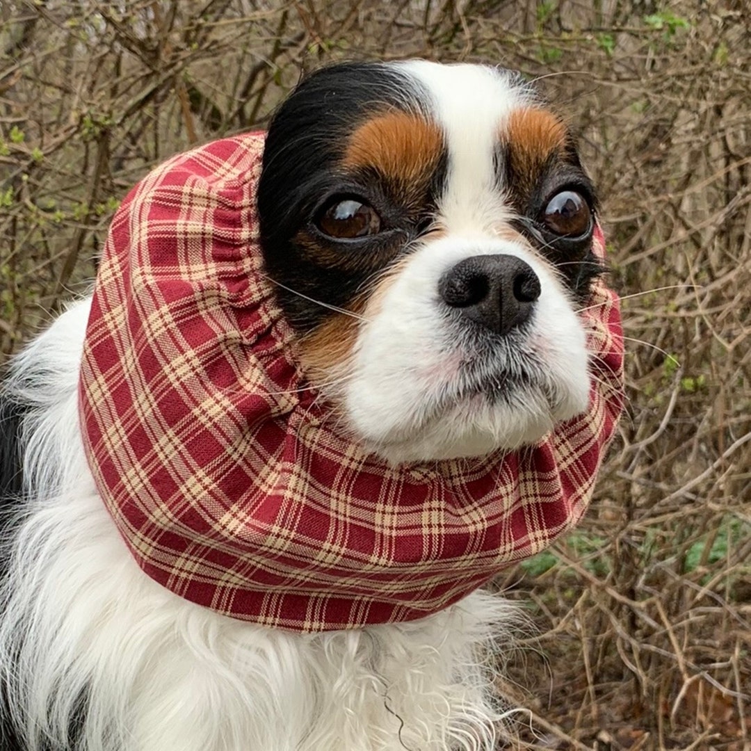Cavalier Snoods Mulberry & Cream - Etsy