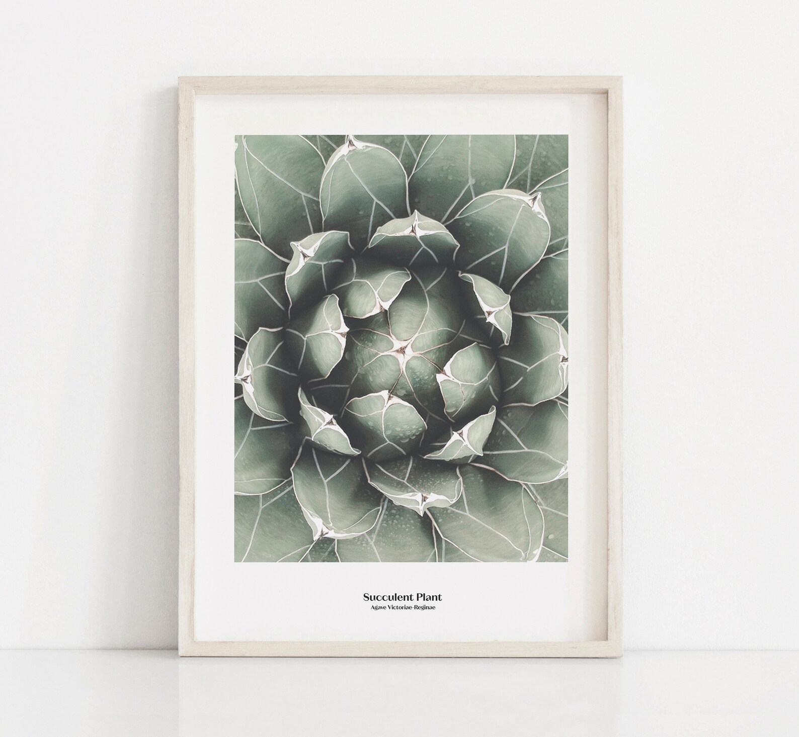 Succulent Poster Succulent Print Succulent Wall Art - Etsy