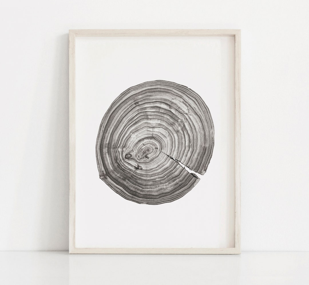 Nordic Nature Tree Rings Poster, Tree Rings Poster, Tree Rings Print ...