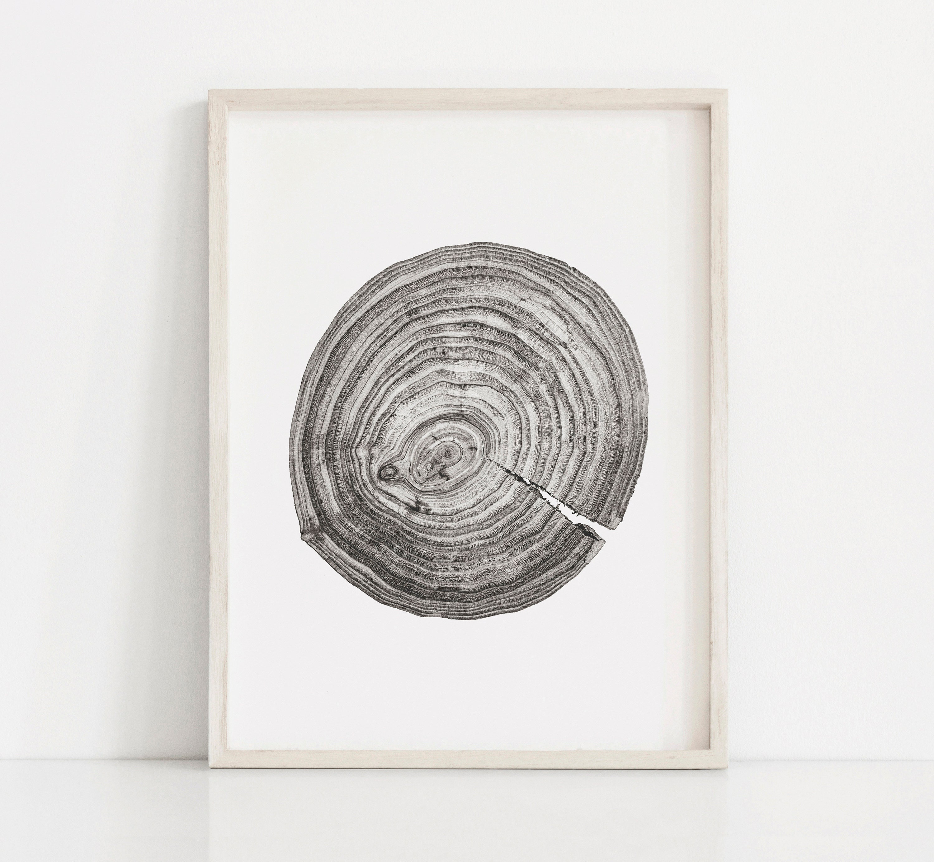 Nordic Nature Tree Rings Poster Tree Rings Poster Tree Rings - Etsy
