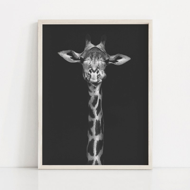 Giraffe Poster - Etsy