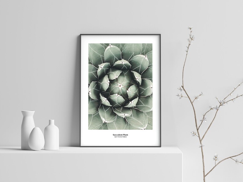 Succulent Poster Succulent Print Succulent Wall Art | Etsy