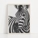 Zebra Print Zebra Wall Art Zebra Poster Zebra Pictures - Etsy