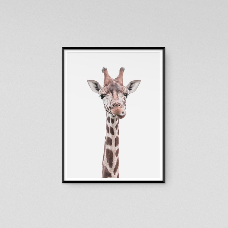 Giraffe Print Giraffe Wall Art Giraffe Poster Giraffe | Etsy
