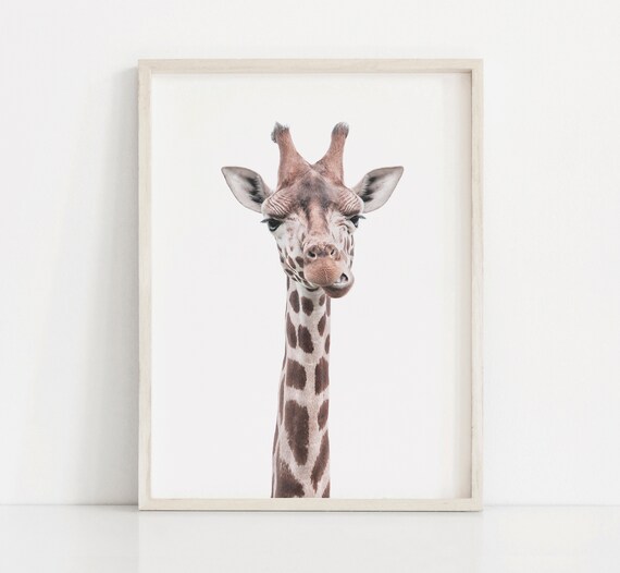 Giraffe Print Giraffe Wall Art Giraffe Poster Giraffe | Etsy