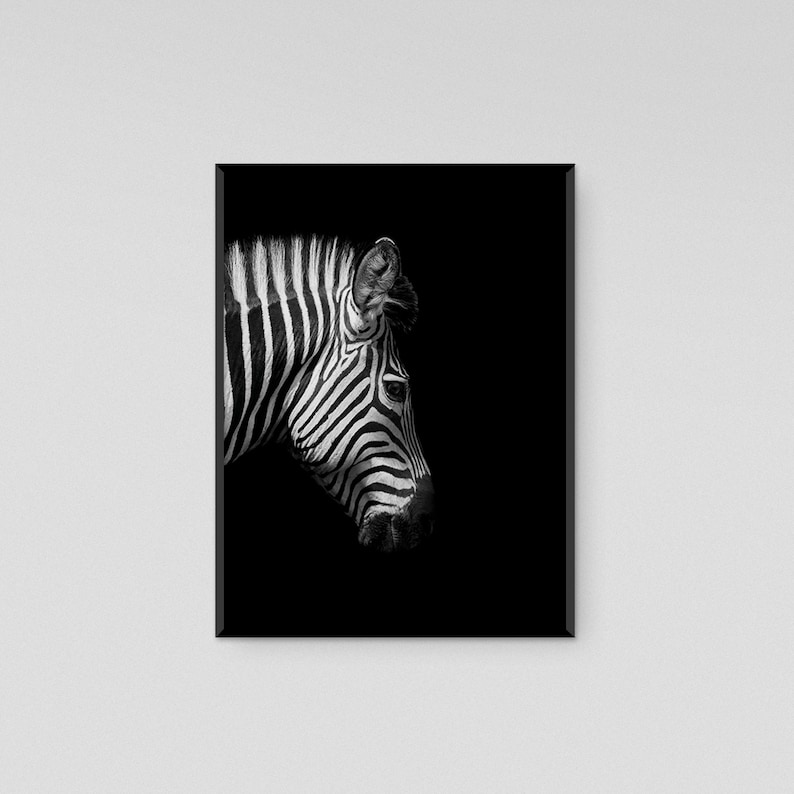 Zebra Print Zebra Wall Art Zebra Poster Zeba Pictures | Etsy