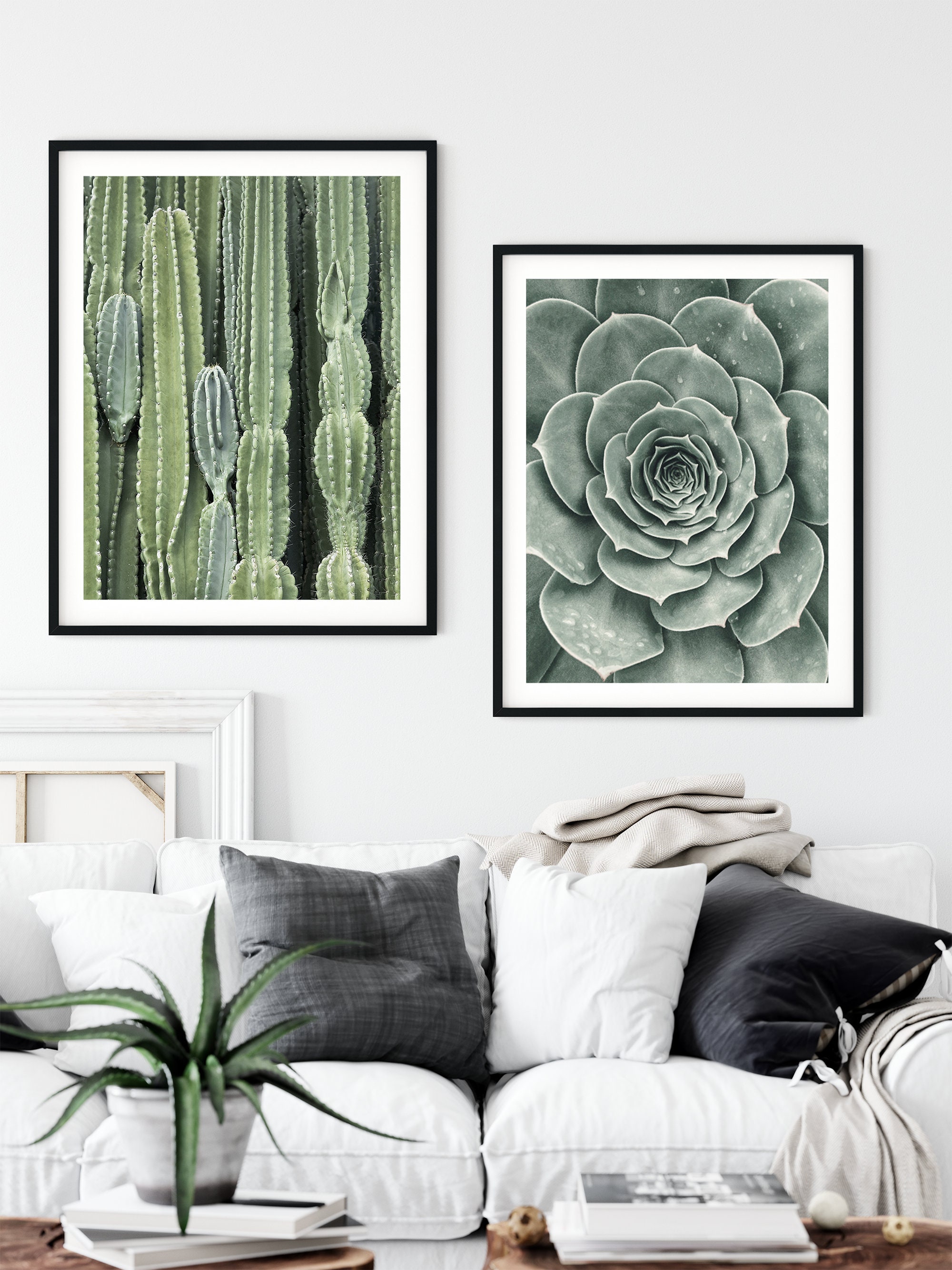Cactus Poster Cactus Print Cactus Wall Art Cactus Pictures - Etsy