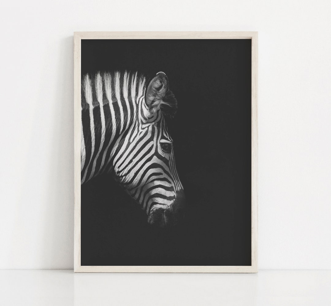 Zebra Print, Zebra Wall Art, Zebra Poster, Zeba Pictures, Animals ...