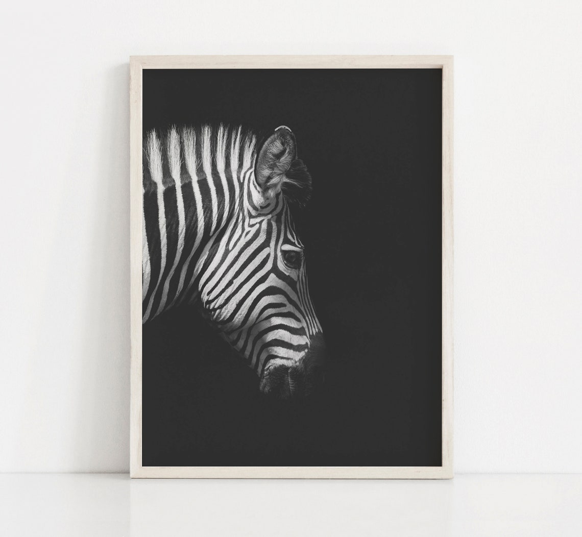 Zebra Print, Zebra Wall Art, Zebra Poster, Zeba Pictures, Animals ...