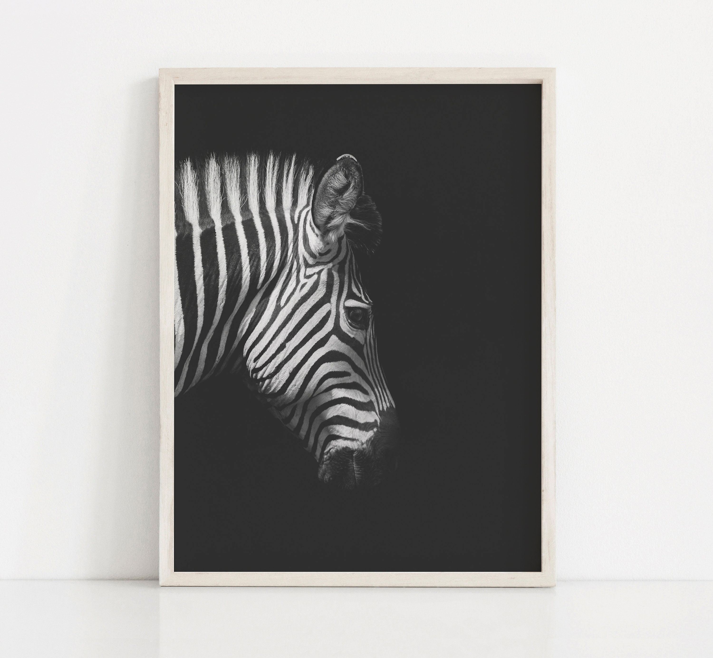 Zebra Print, Zebra Wall Art, Zebra Poster, Zeba Pictures, Animals ...